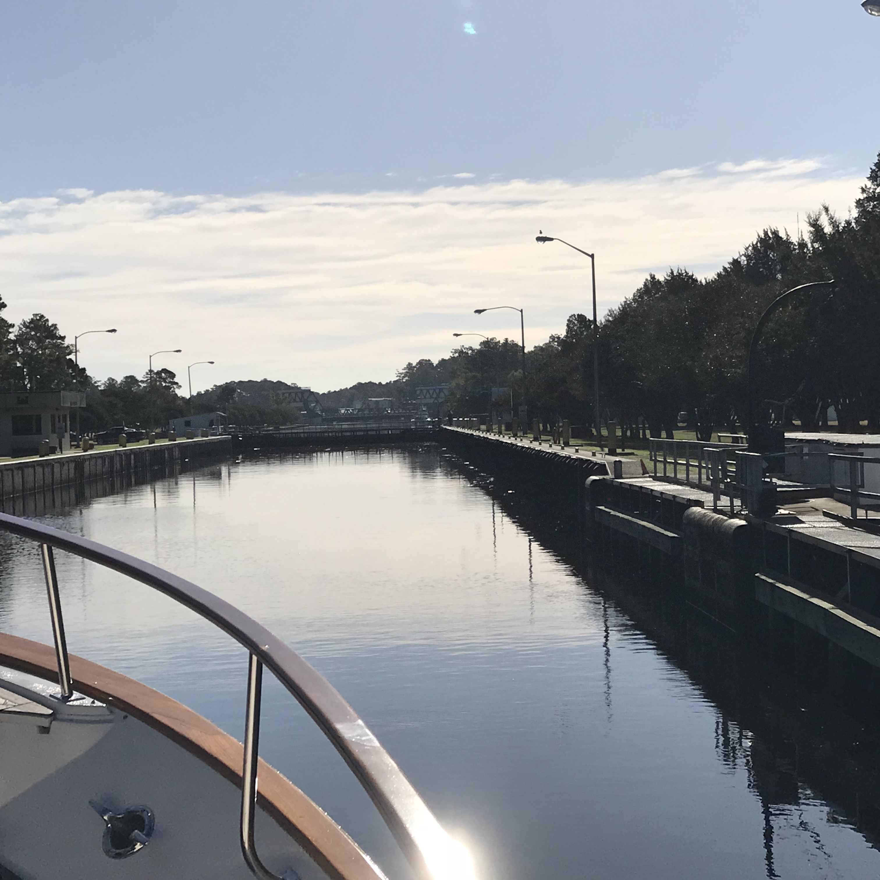 Coinjock, Alligator River and Belhaven, NC | mv/whocares